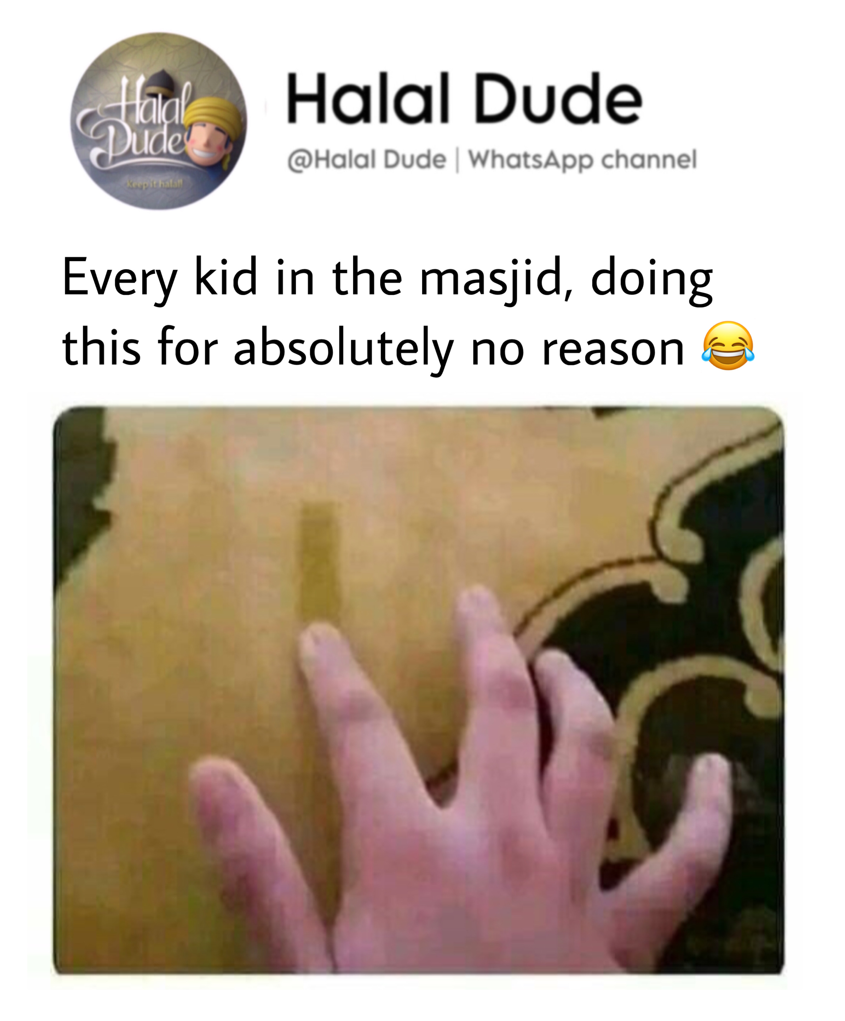 Halal Memes - Islamic Humor Gallery | Halal Dude